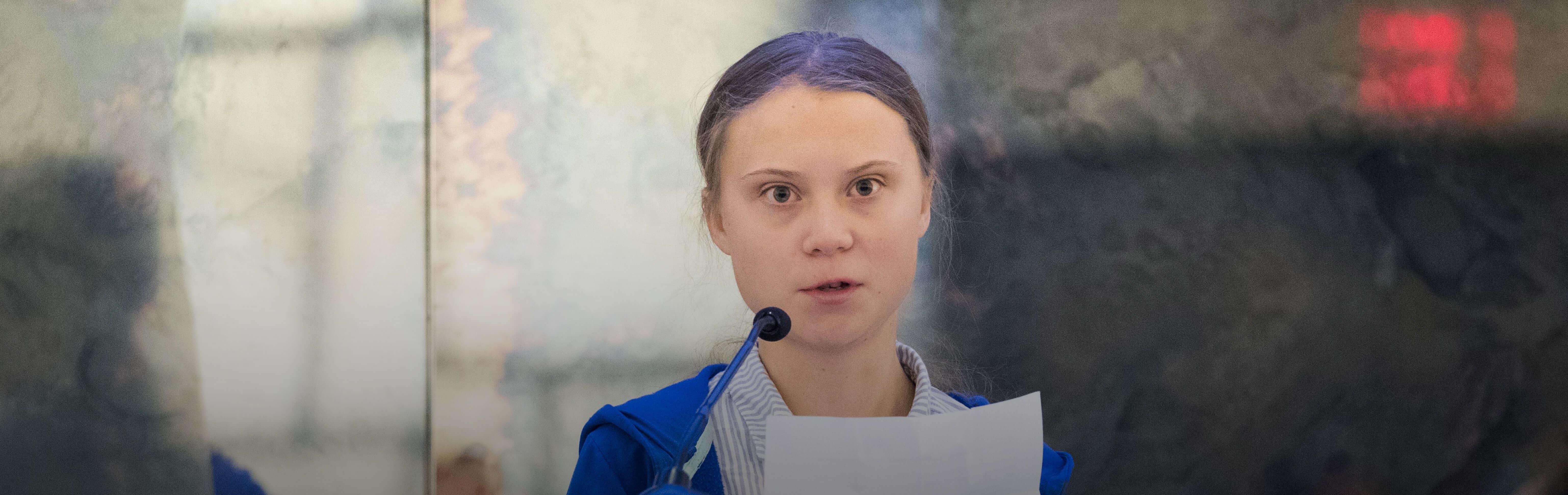 Why Did The Greta Effect Start in Sweden and How Should Companies React ...